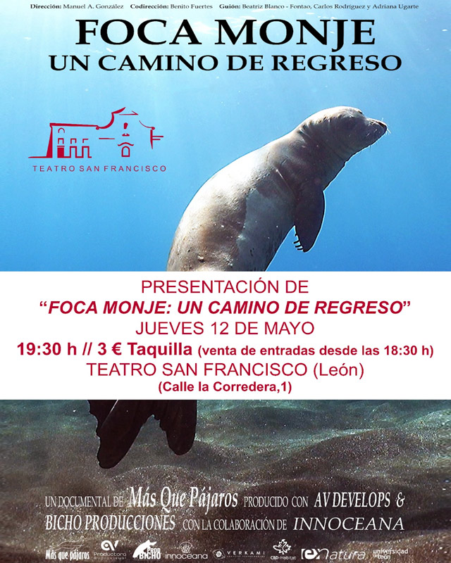 Foca Monje. Un documental producido por un equipo de productoras ...