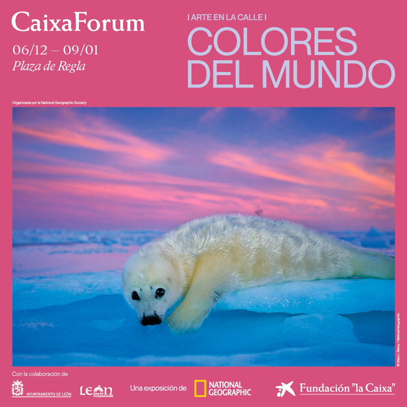 Los colores del mundo. Arte en la calle. Plaza de la catedral. León ...